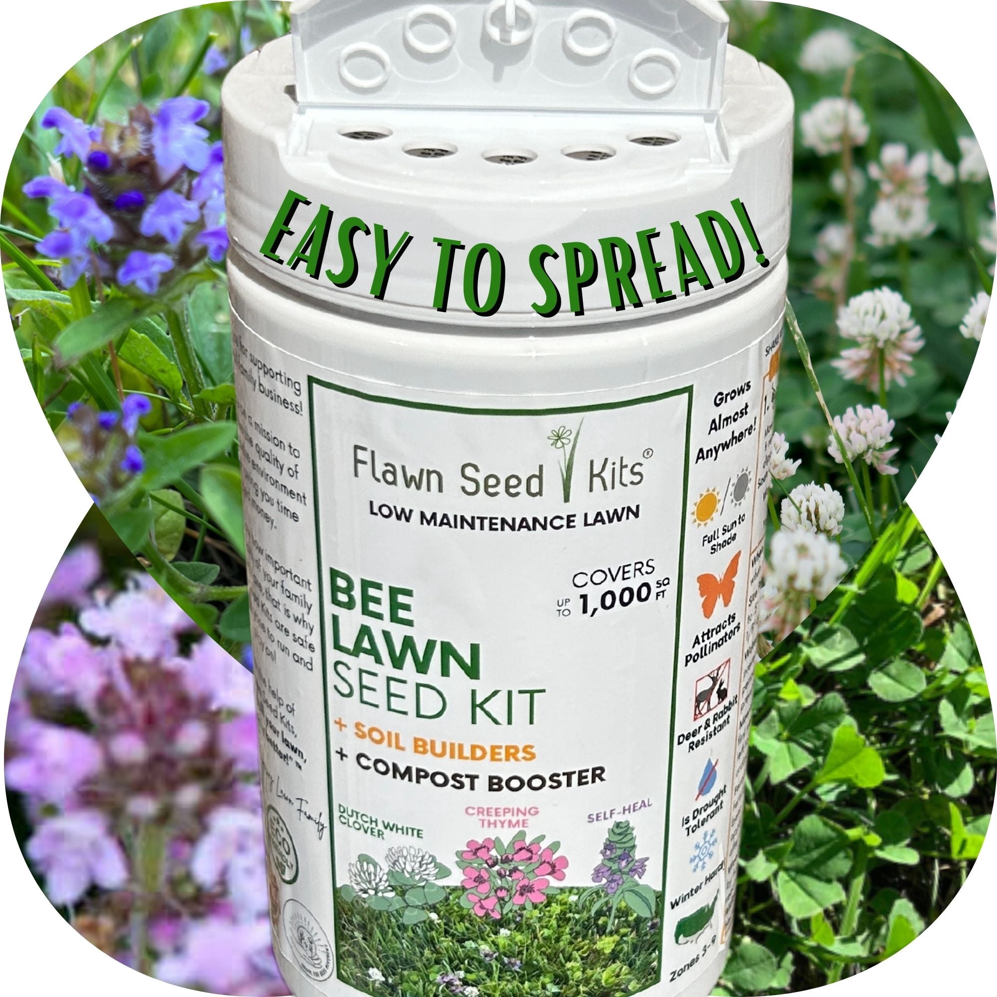 Flawn Seed Kits 1 Dutch White Clover Plant Seeds, Air-Purifying ...