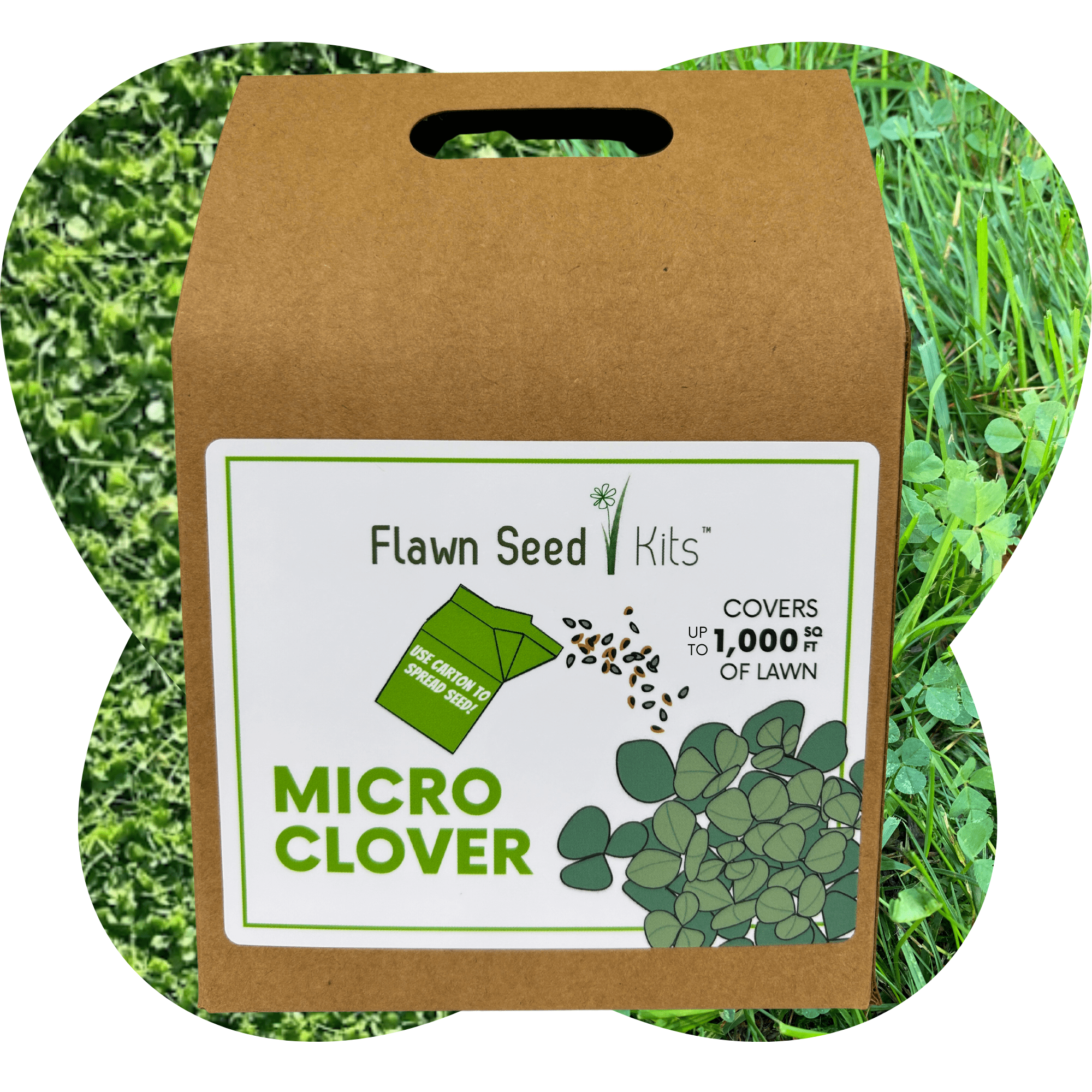 Flawn Seed Kits Micro Clover Eco-Friendly Seeding Kit with Micro Clover ...