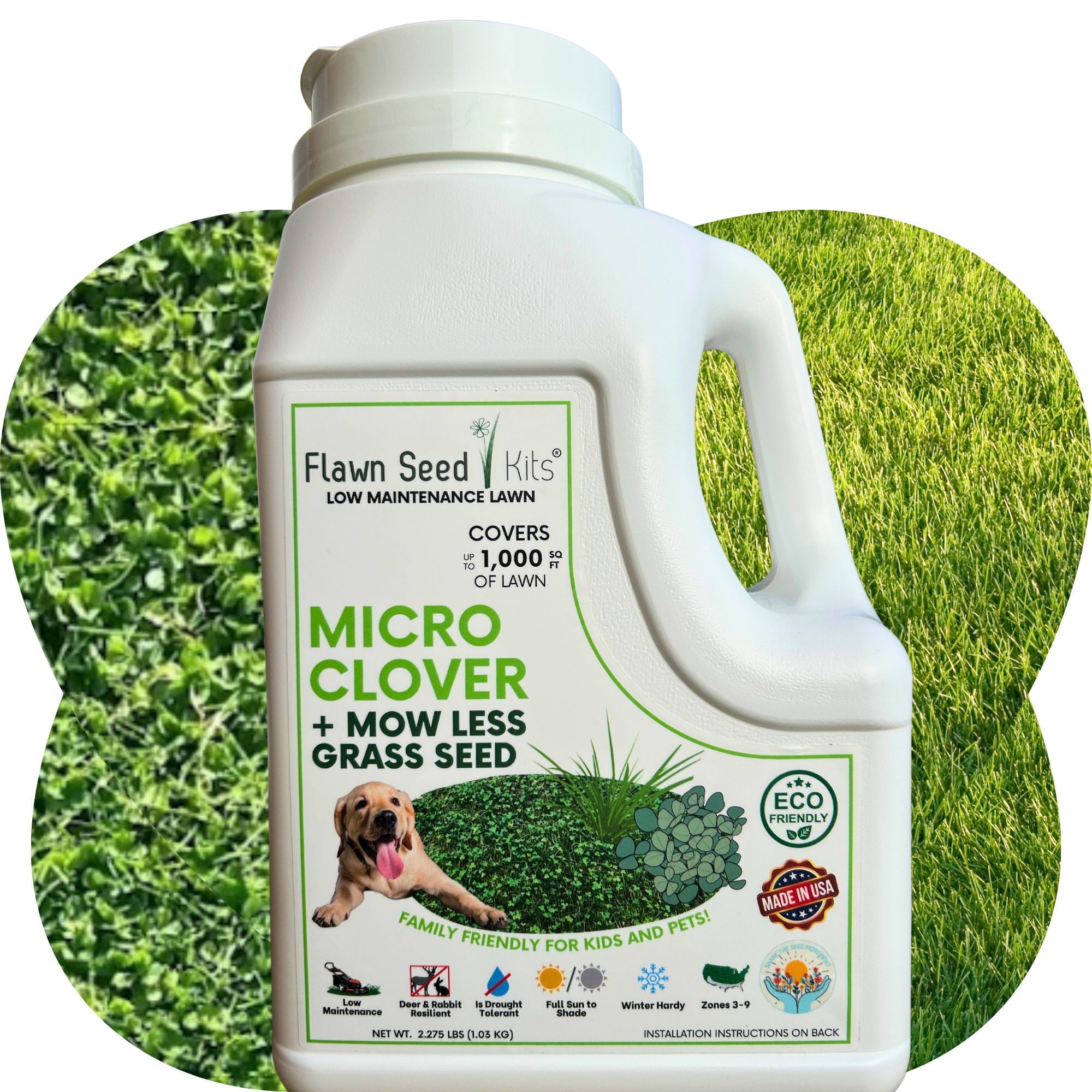Flawn Seed Kits Micro Clover+Fine Fescue Grass Perennial Seed Kit, Low ...