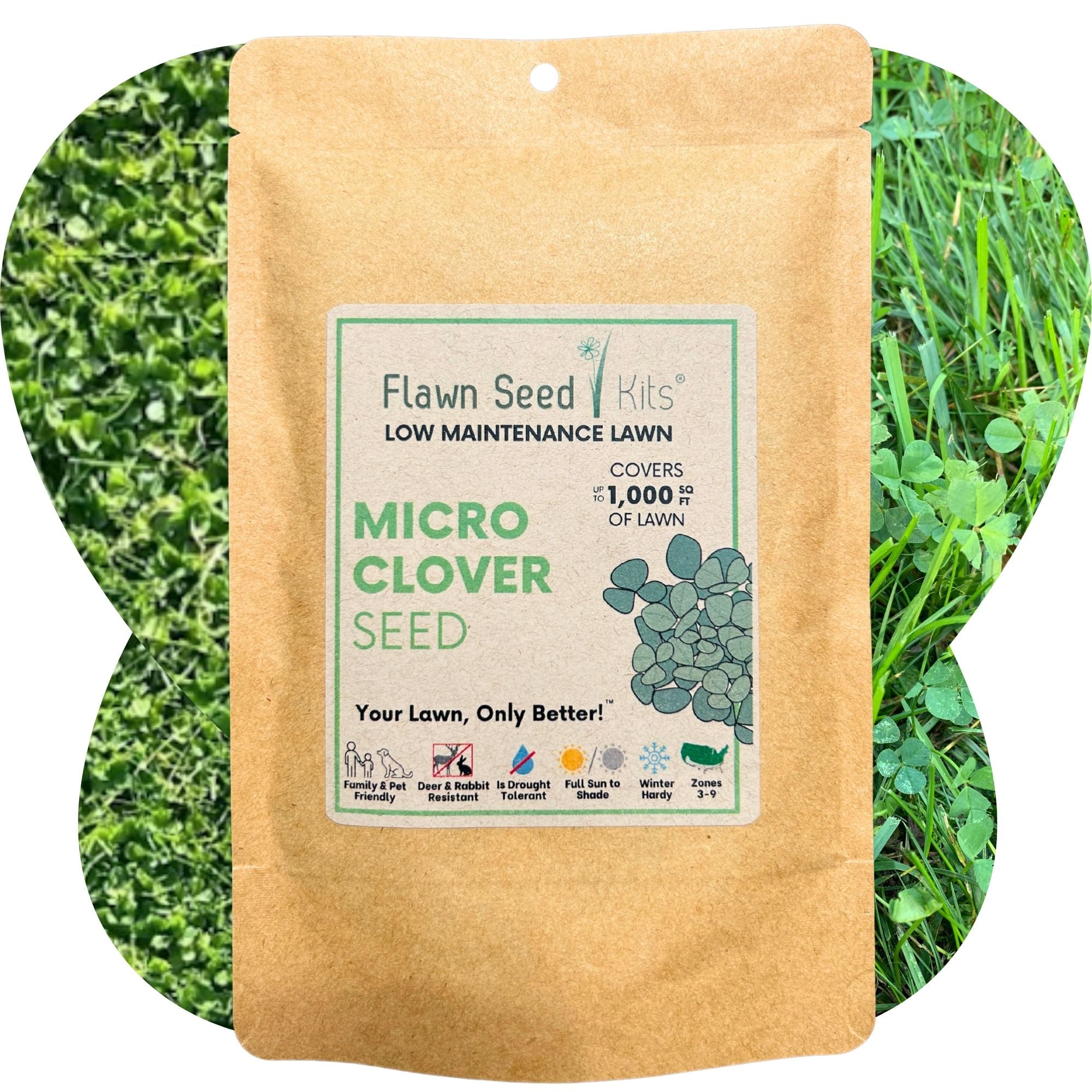 Flawn Seed Kits Micro Clover Seed, Eco-Friendly, Low Maintenance, Full ...