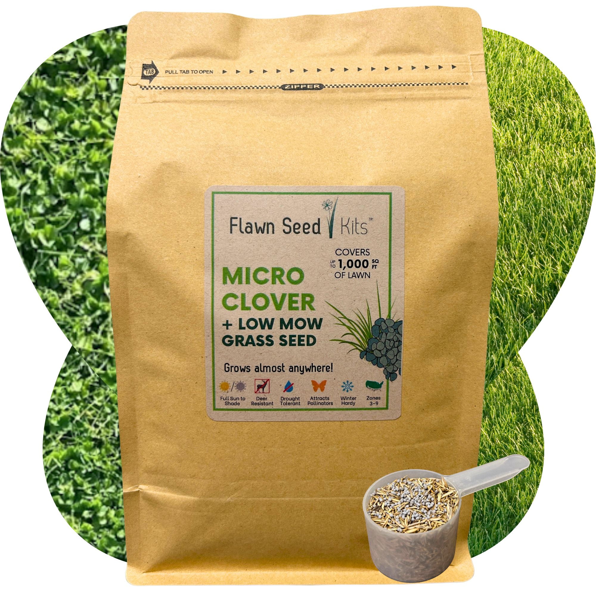 Flawn Seed Micro Clover Seed Plus Low Mow Grass Seed, Eco-Friendly, Low ...