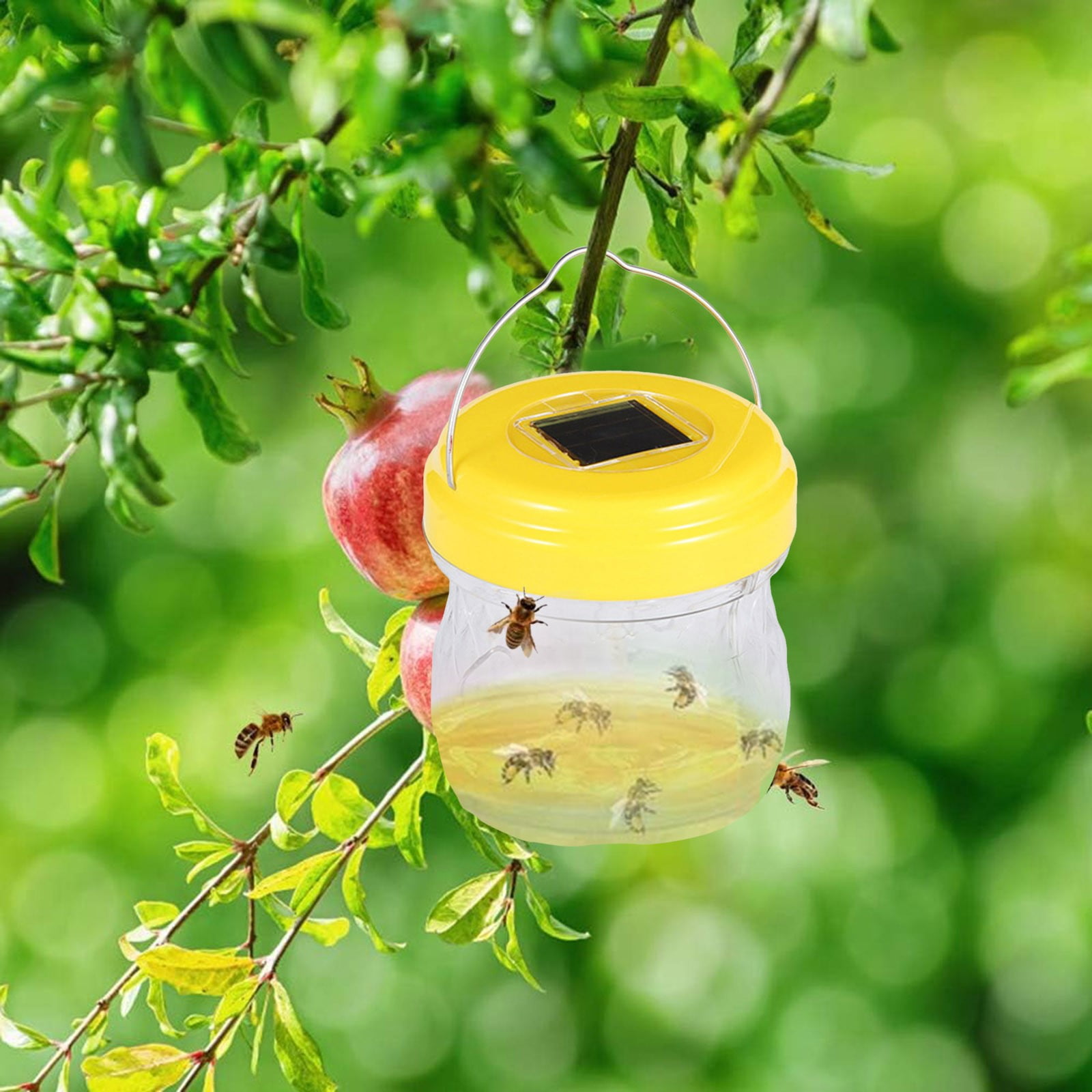 Flay Catcher Vespid Wile Outdoor Hanging Vespid Wile For Outside ...