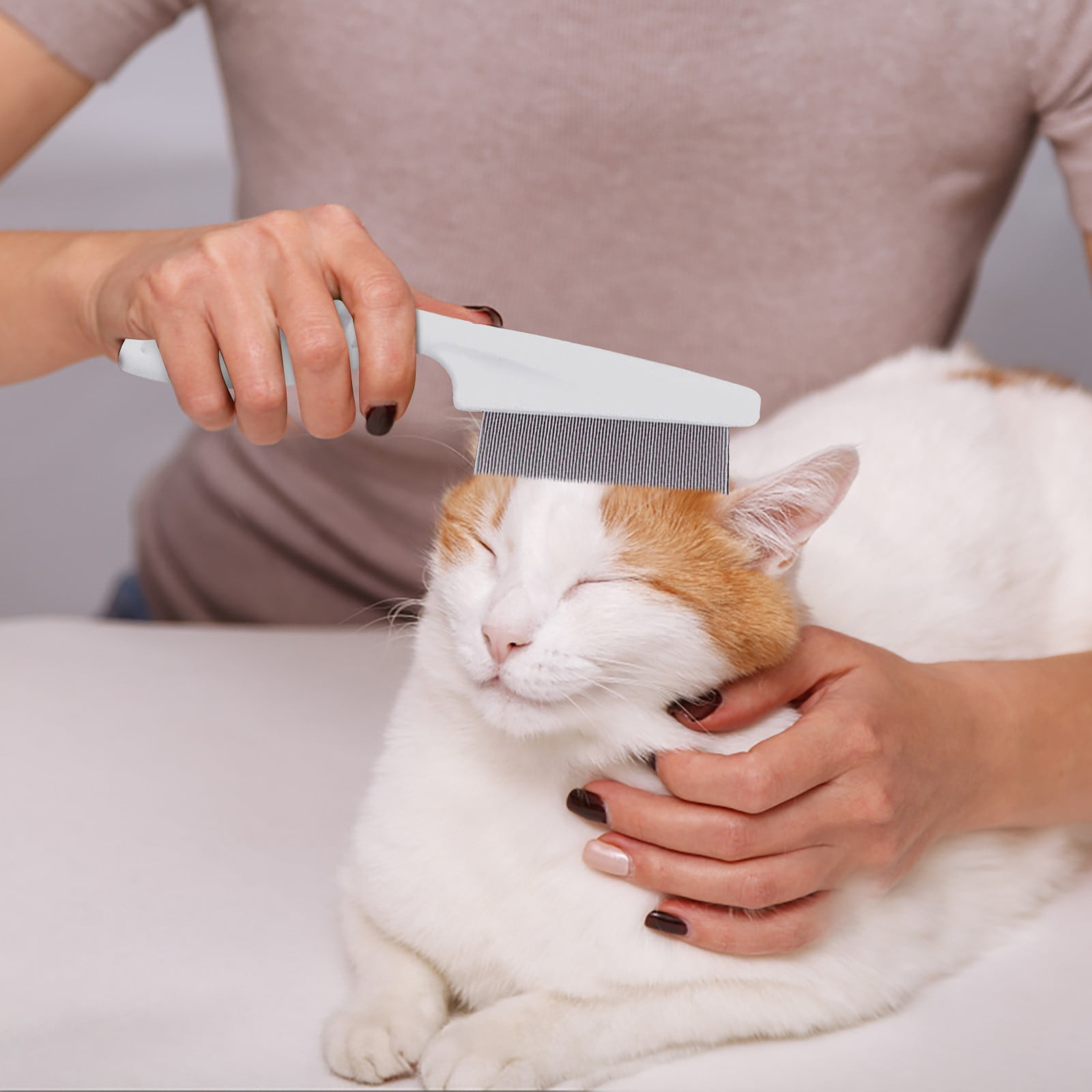 Flea Lice Comb for Cats Dogs, Cat Dog Combs for Grooming Eye Tear Stain ...