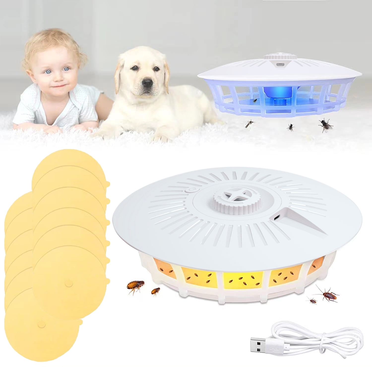 Flea Trap for Inside Your Home with 10 Sticky Refill Discs, Natural ...