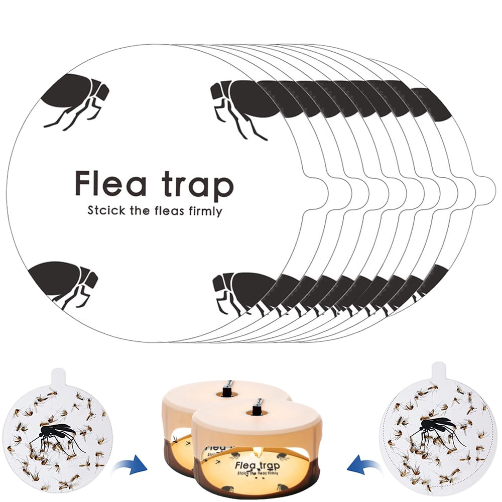Sariz Flea Trap Refill Discs, 7-inch Sticky Glue Boards for Indoor Flea ...