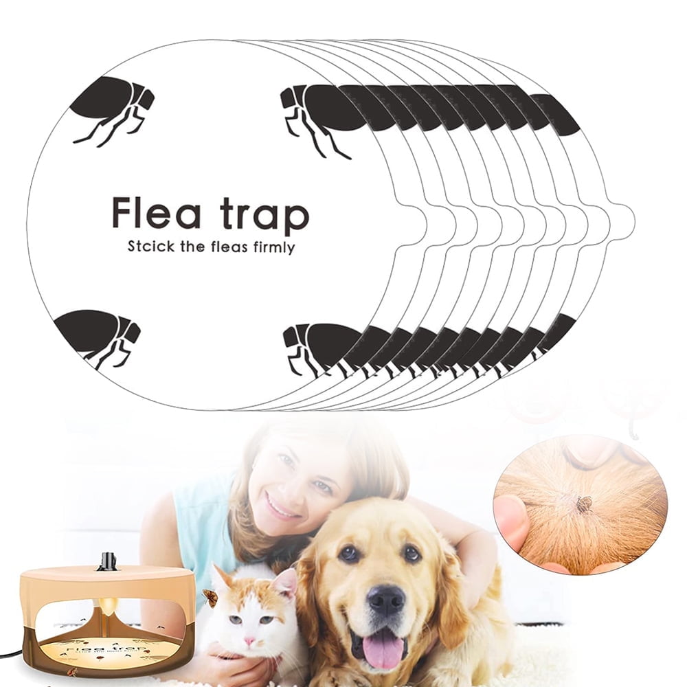 Flea Trap Refill Discs Replacement Glue Boards, 7" Sticky Pads Fits ...