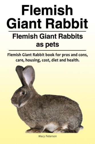Pre-Owned Flemish Giant Rabbit. Flemish Giant Rabbits as pets. Flemish ...