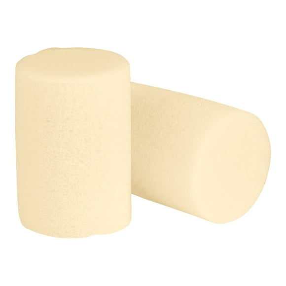Foam Ear Plugs in Ear Care - Walmart.com