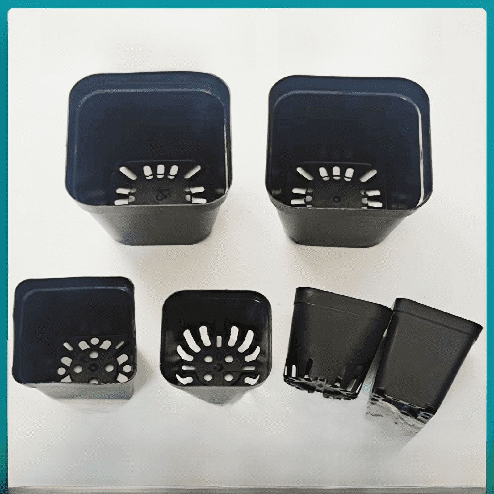 Fleshy Seedling Pot Small Black Square 5.5 Square Various Styles Black ...