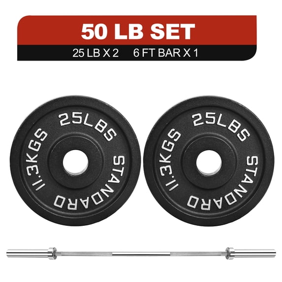FlexWave Cast Iron Barbell Plates, 2-Inch Hole, Black with Silver ...