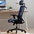 FlexiSpot Ergonomic Mesh Office Chair Swivel Height Adjustable Computer ...