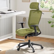 FlexiSpot Ergonomic Mesh Office Chair Swivel Height Adjustable Computer ...