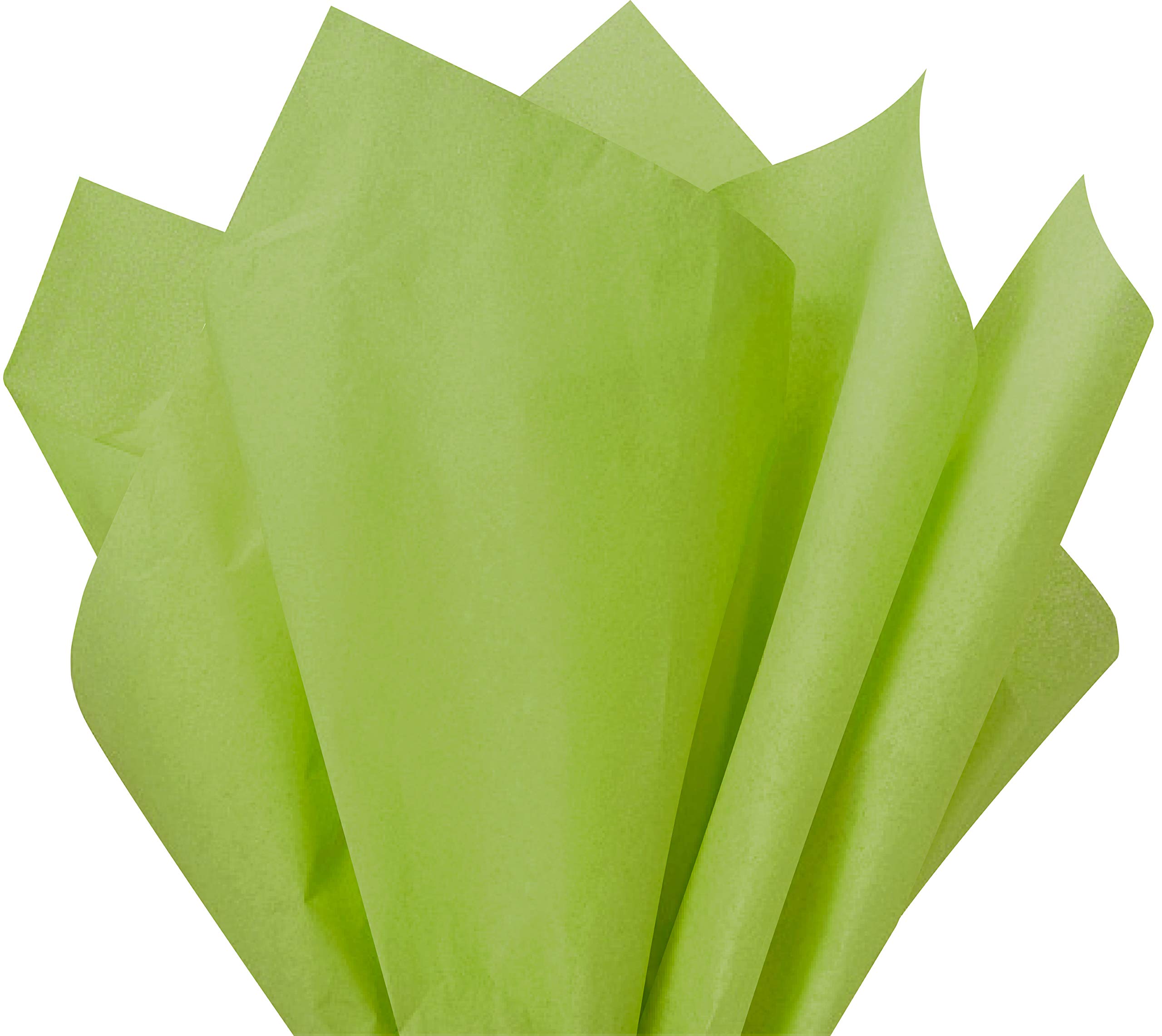 Flexicore Packaging Aloe Green MSF2 Gift Wrap Tissue Paper Size: 15 Inch X 20 Inch | Count: 100 ...