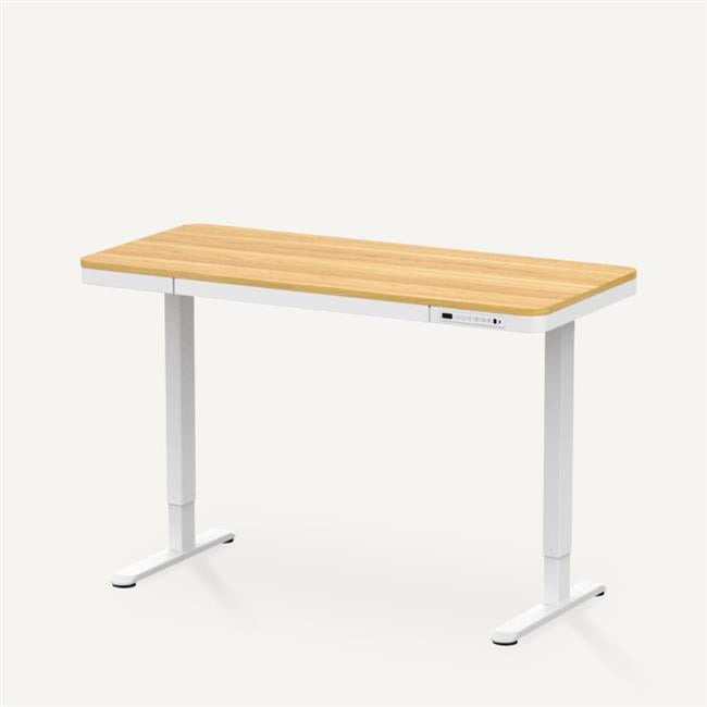 Flexispot EW8R 48 x 24 in. Comhar Standing Desk with Drawers, Rustic ...