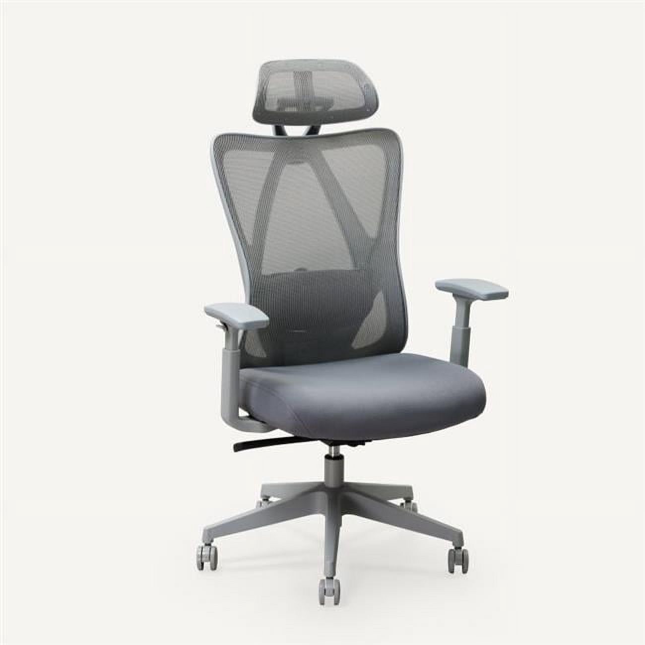 Flexispot C5WG-foam Standard Ergonomic Foam Office Chair, Gray ...