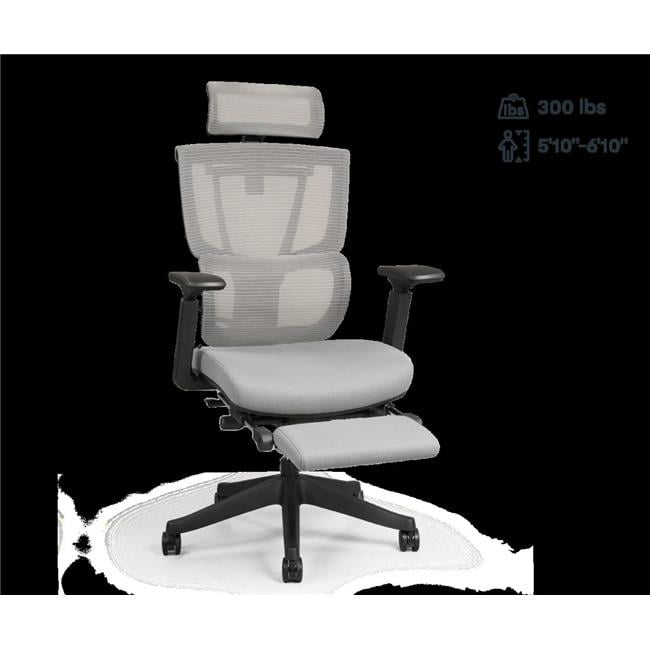 Flexispot C7MG-foam-FT Premium C7 Ergo Series Foam Office Chair with ...