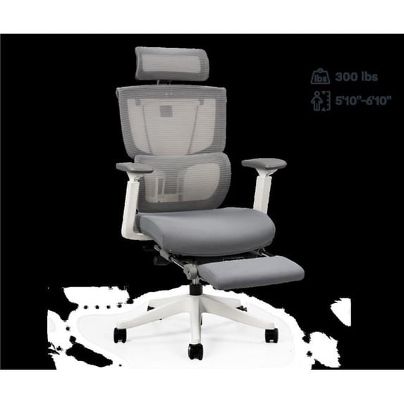 Flexispot C7PROG-mesh-FT Premium C7 Ergo Series Mesh Office Chair with ...