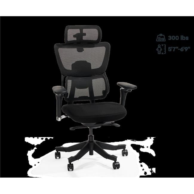 Flexispot Premium C7 Ergo Series Mesh Office Chair, All Black - Walmart.com