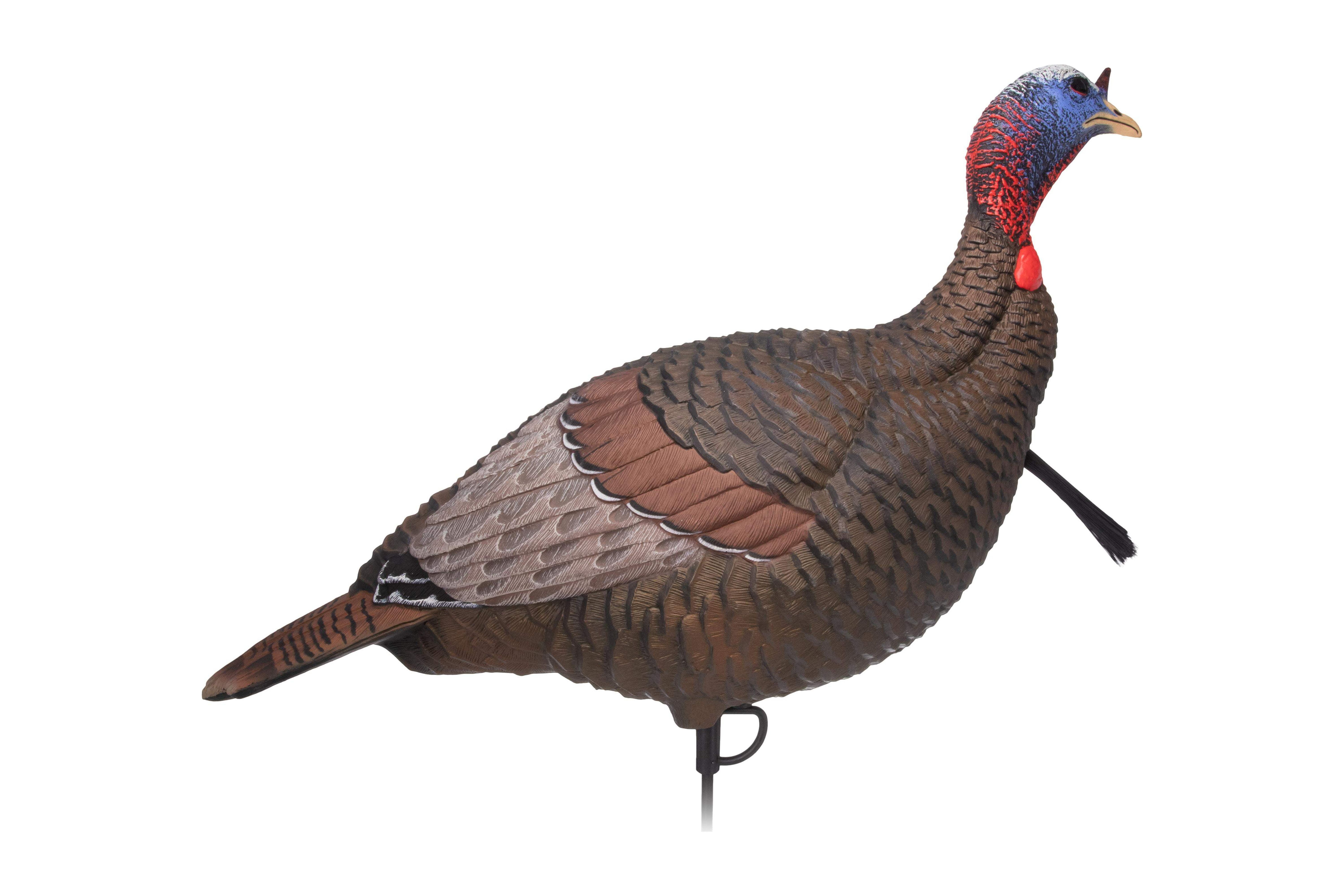 Flextone Hunting Lightweight Ultra Realistic Lifelike Plastic Outdoor ...