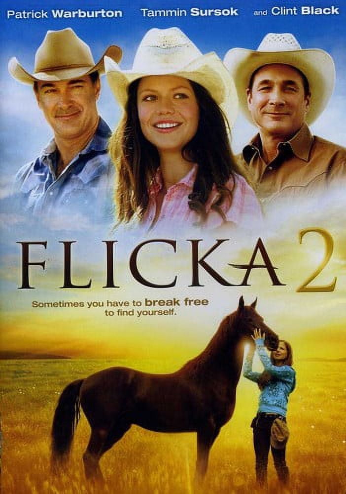 Flicka 2 (DVD) - Walmart.com