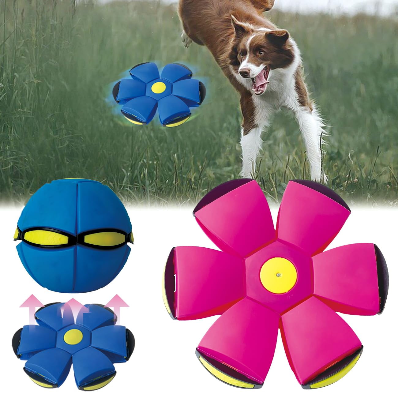 Flidrunest 2Pcs Pet Toy Flying Saucer, Flying Saucer Dog Toy With 3 ...