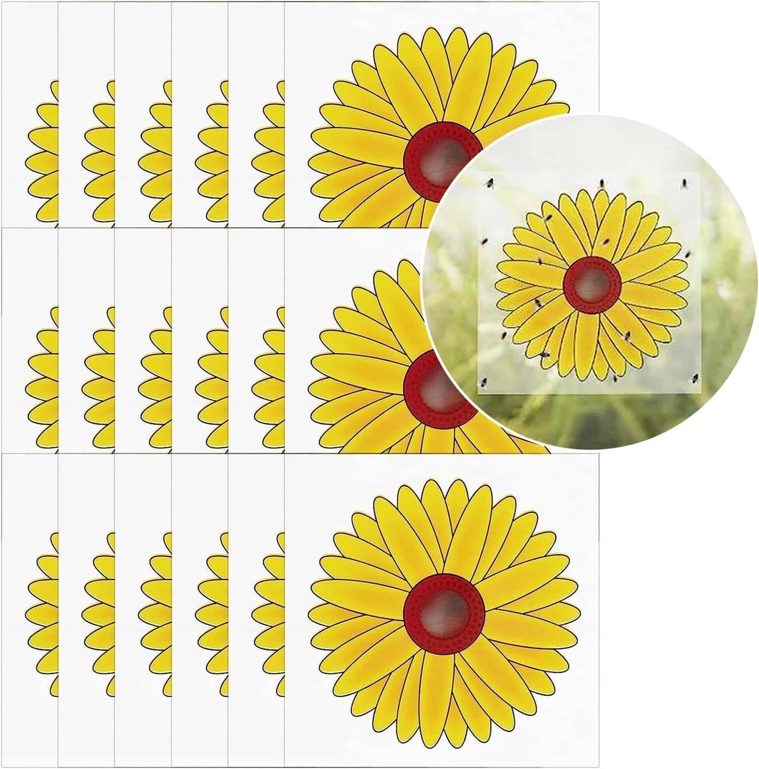 Flies & Bug Window Fly Trap,Happon 20Pcs Window Fly Stickers Fruit Fly ...