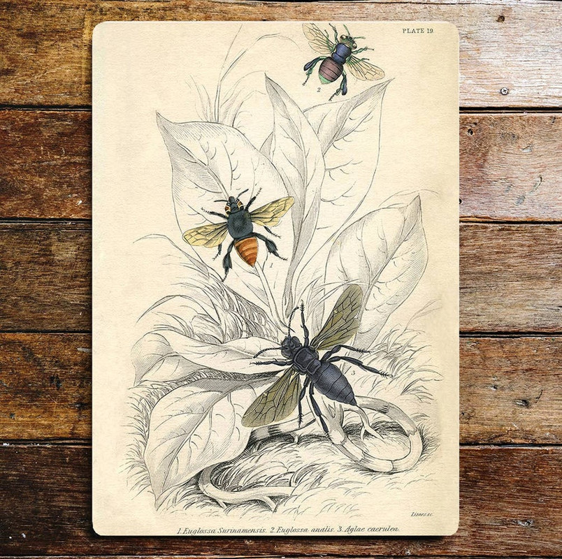 Flies Leaves Garden Metal Wall Sign 12×8 Inch - Walmart.com