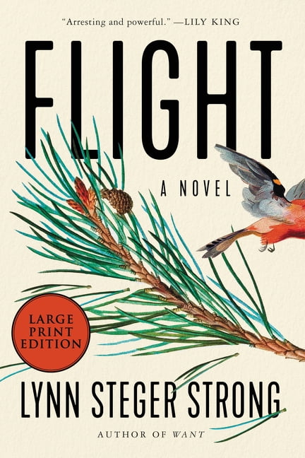 Flight Lynn Steger Strong