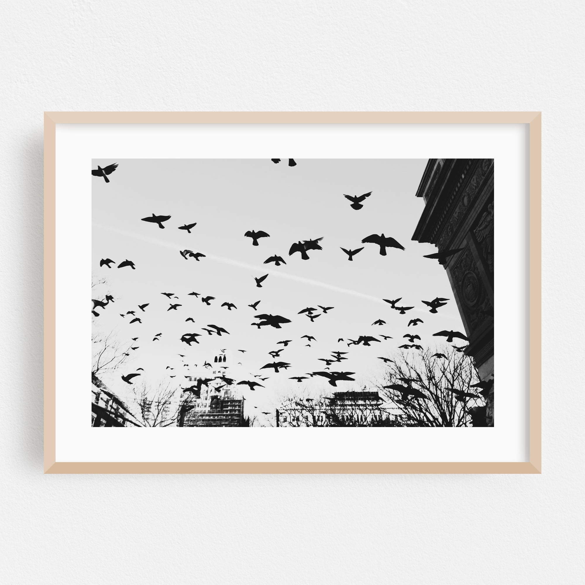Flight of the Pigeons - Manhattan New York Photography Black and White Silhouette Bird Cityscape ...