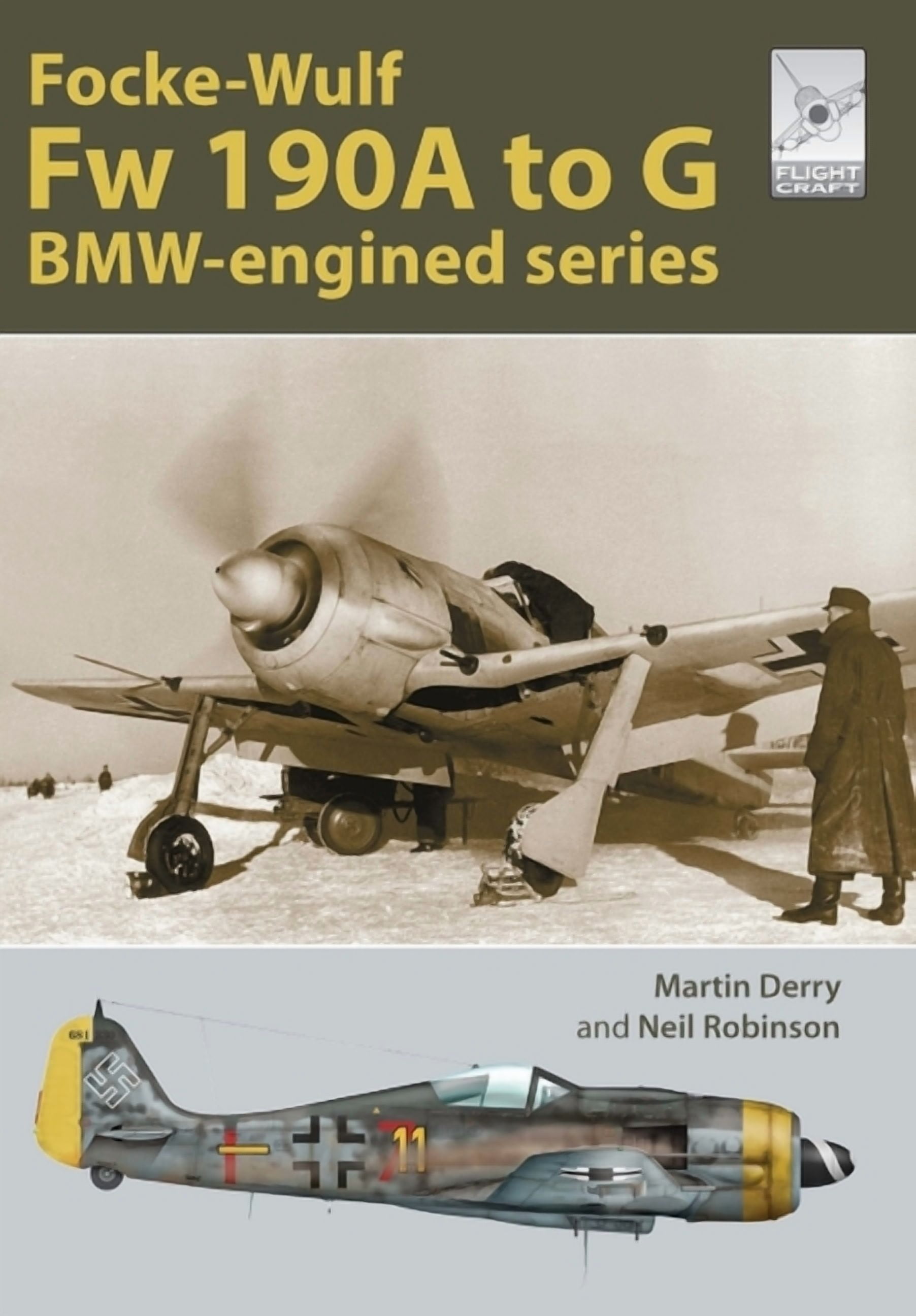 FlightCraft: Focke-Wulf FW 190a to G: Bmw-Engined Series (Paperback ...