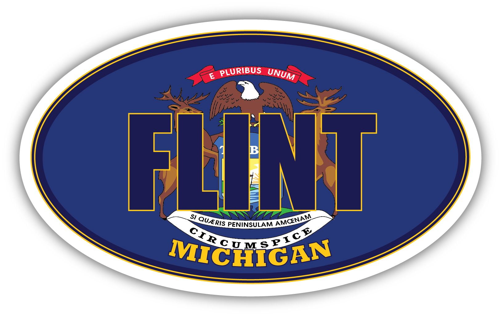 Flint City Michigan State Flag | MI Flag Genesee County Oval State ...
