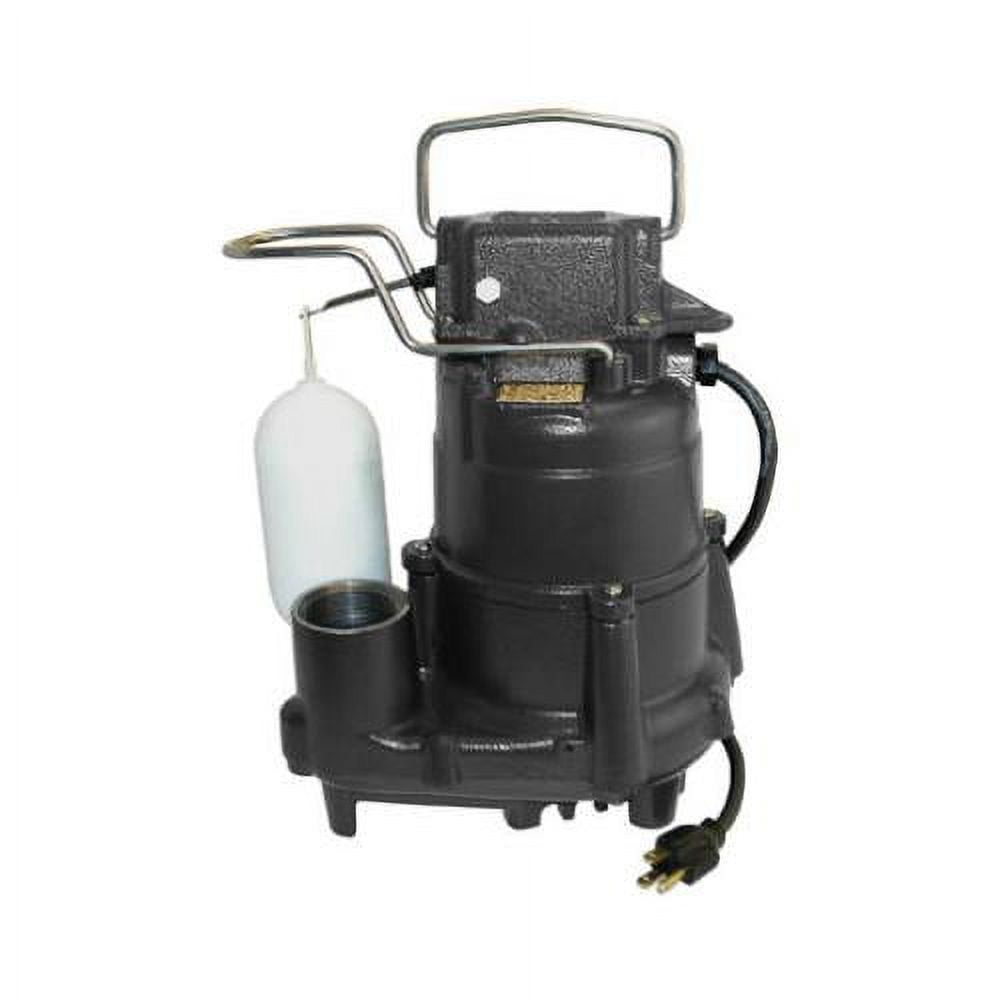 Flint & Walling/Star Water 540486 Submersible Sump Pump With Vertical ...