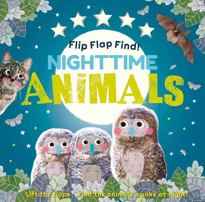 Flip Flap Find Flip Flap Find! Night-Time Animals: Lift the Flaps. Find ...