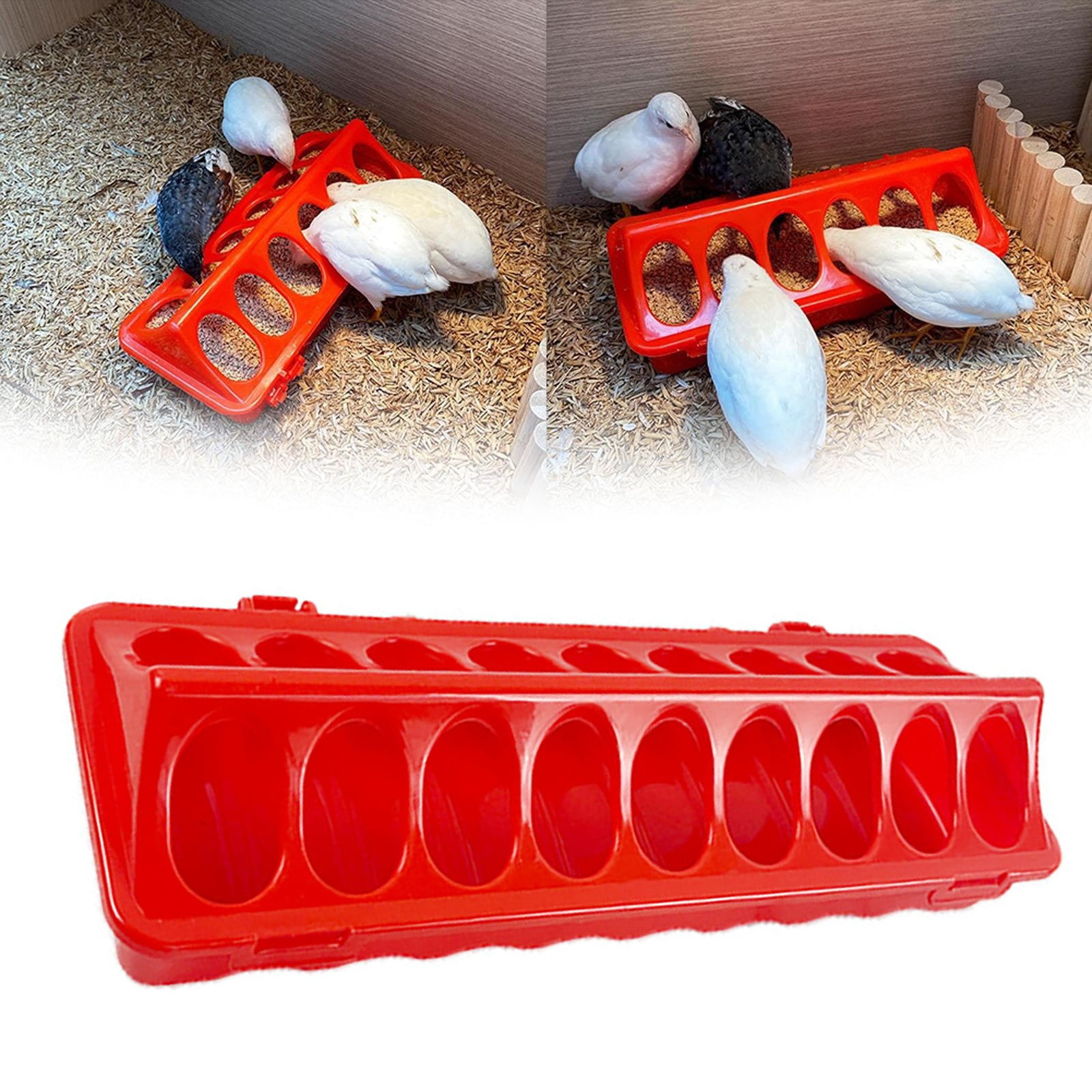 Flip Top Poultry Feeder,2025 New Trough Small Chick Feeder,Poultry ...