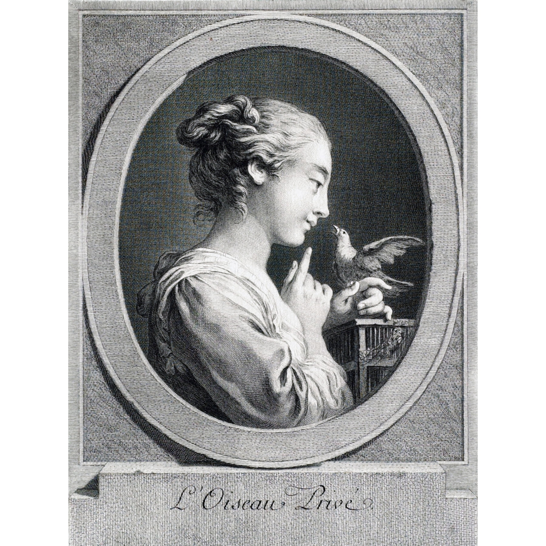 Flipart The Tamed Bird Girl Drawing Extra Large XL Wall Art Poster ...