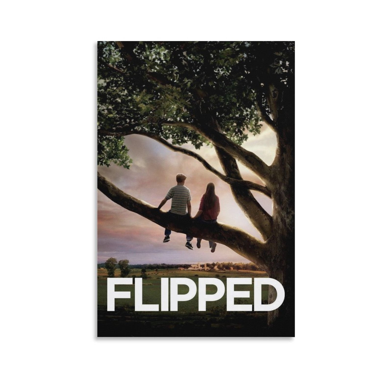 Flipped Movie Poster (4) Canvas Wall Art Poster Decorative Bedroom ...