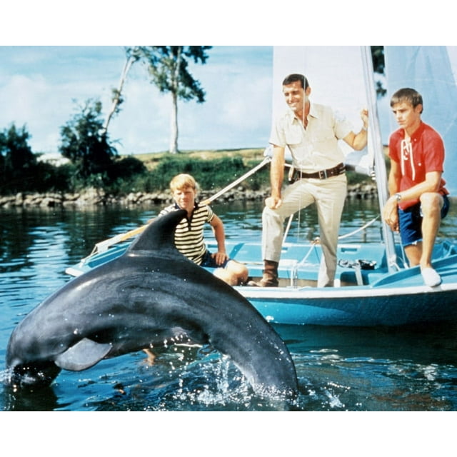 Flipper 24X36 Classic Hollywood Poster Brian Kelly As Porter Ricks ...