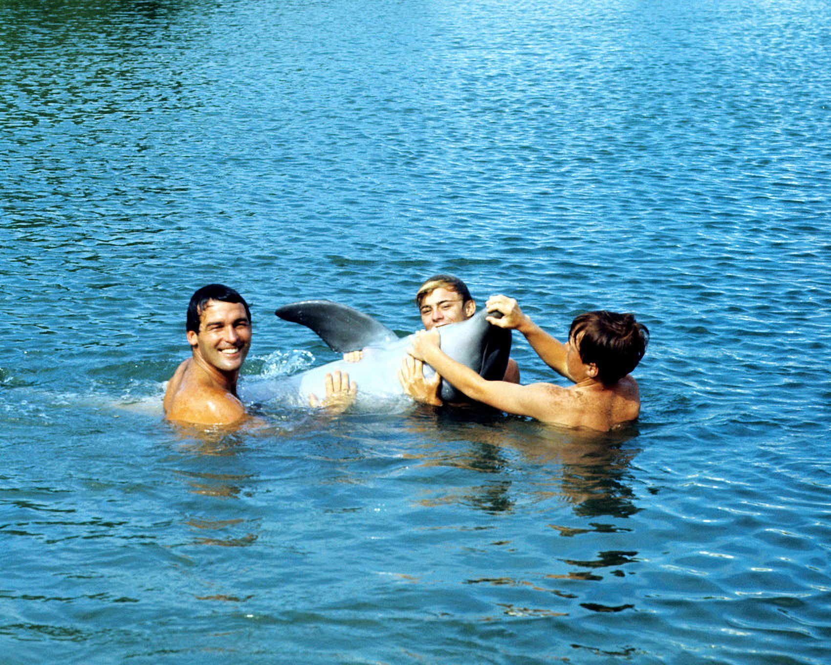 Flipper 24X36 Classic Hollywood Poster Dolphin In Water Brian Kelly ...