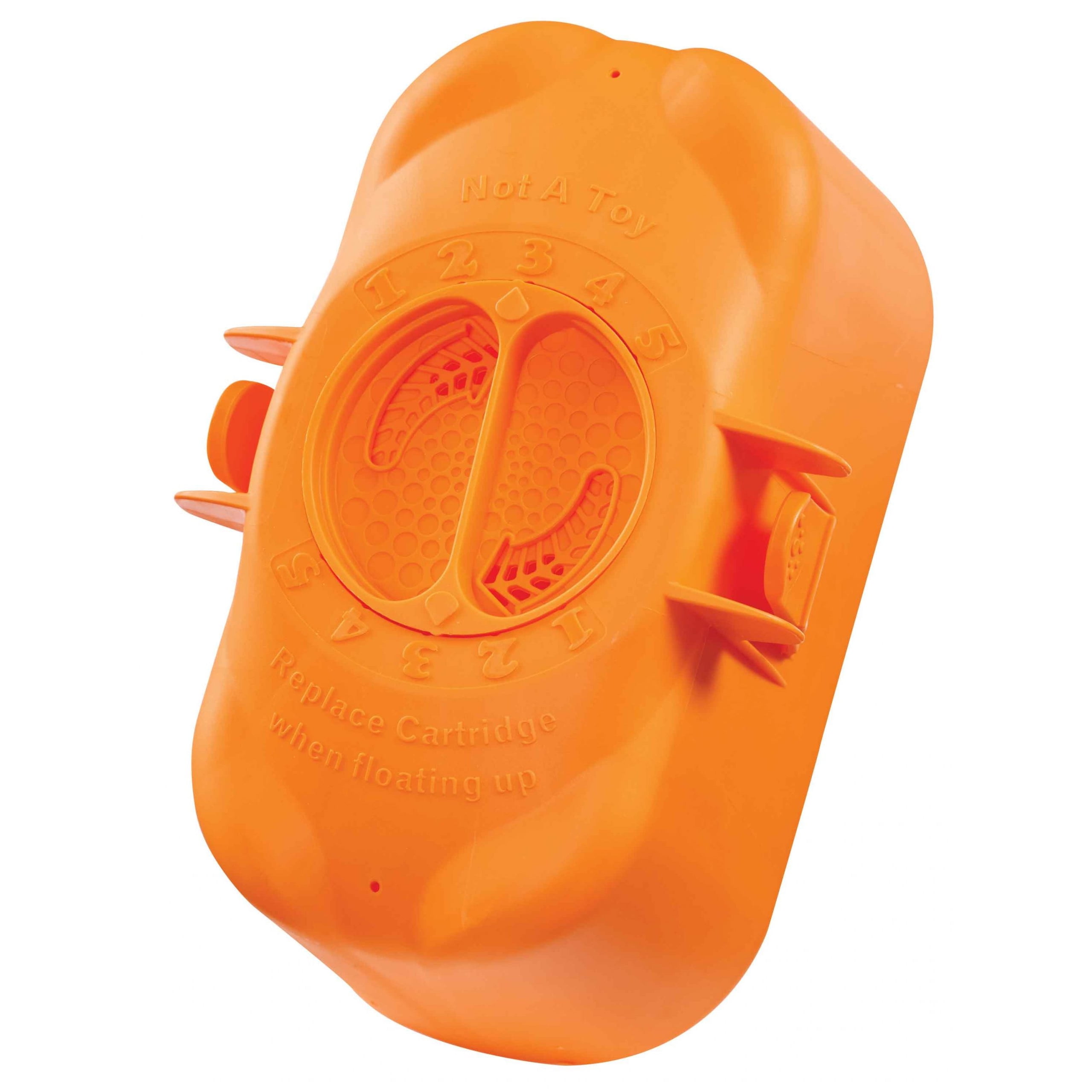 FROG Flippinâ€™ FROG XL Pool Sanitizer Chlorine Cartridge, Works for ...