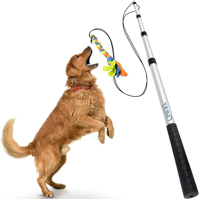 Flirt Pole for Dogs - Safe & Strong for Large Breeds w/Non-Bungee Cord ...