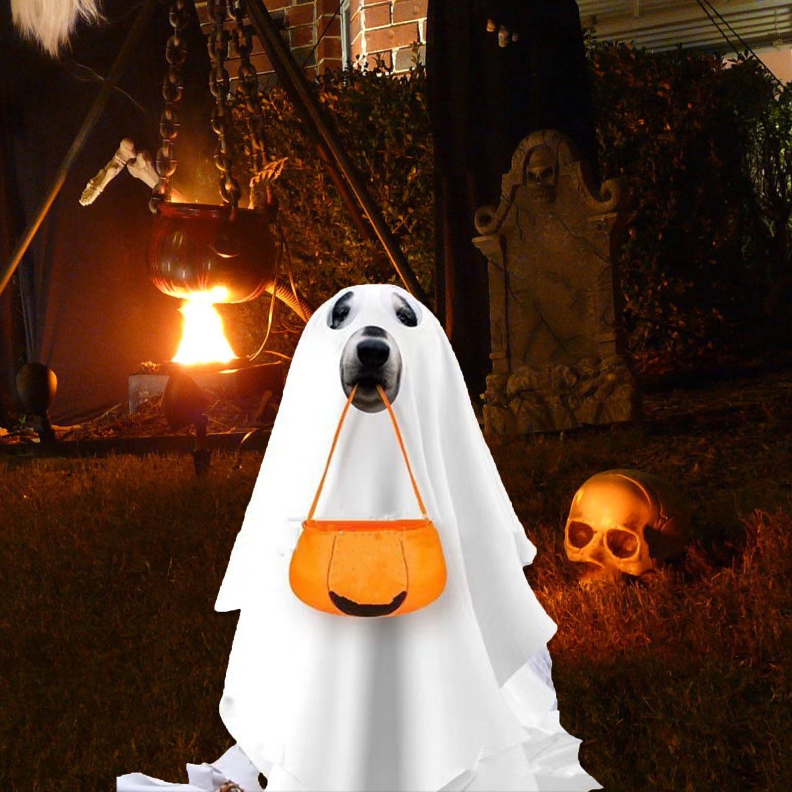FloHua Halloween Decorations Indoor Halloween Pet Cape Halloween Ghost ...