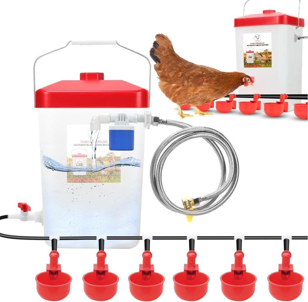 Float Controlled Automatic Chicken Waterer,3 Gallon Auto Refill Poultry ...