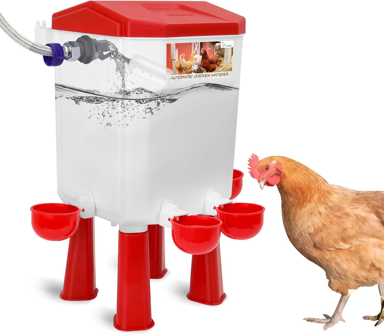 Float-Controlled Automatic Chicken Waterer for Continuous Fresh Water ...