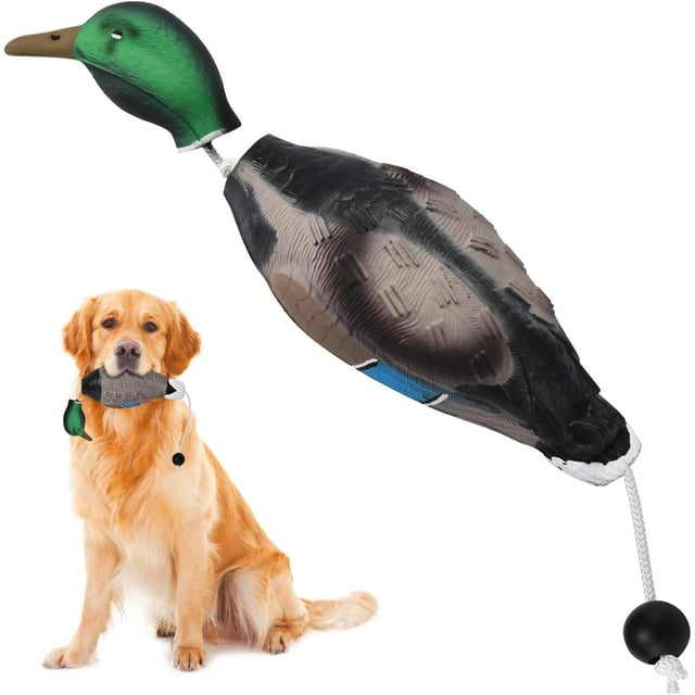 Floatable Realistic Duck Dummy for Dog Retriever Training, Hunting Dog ...