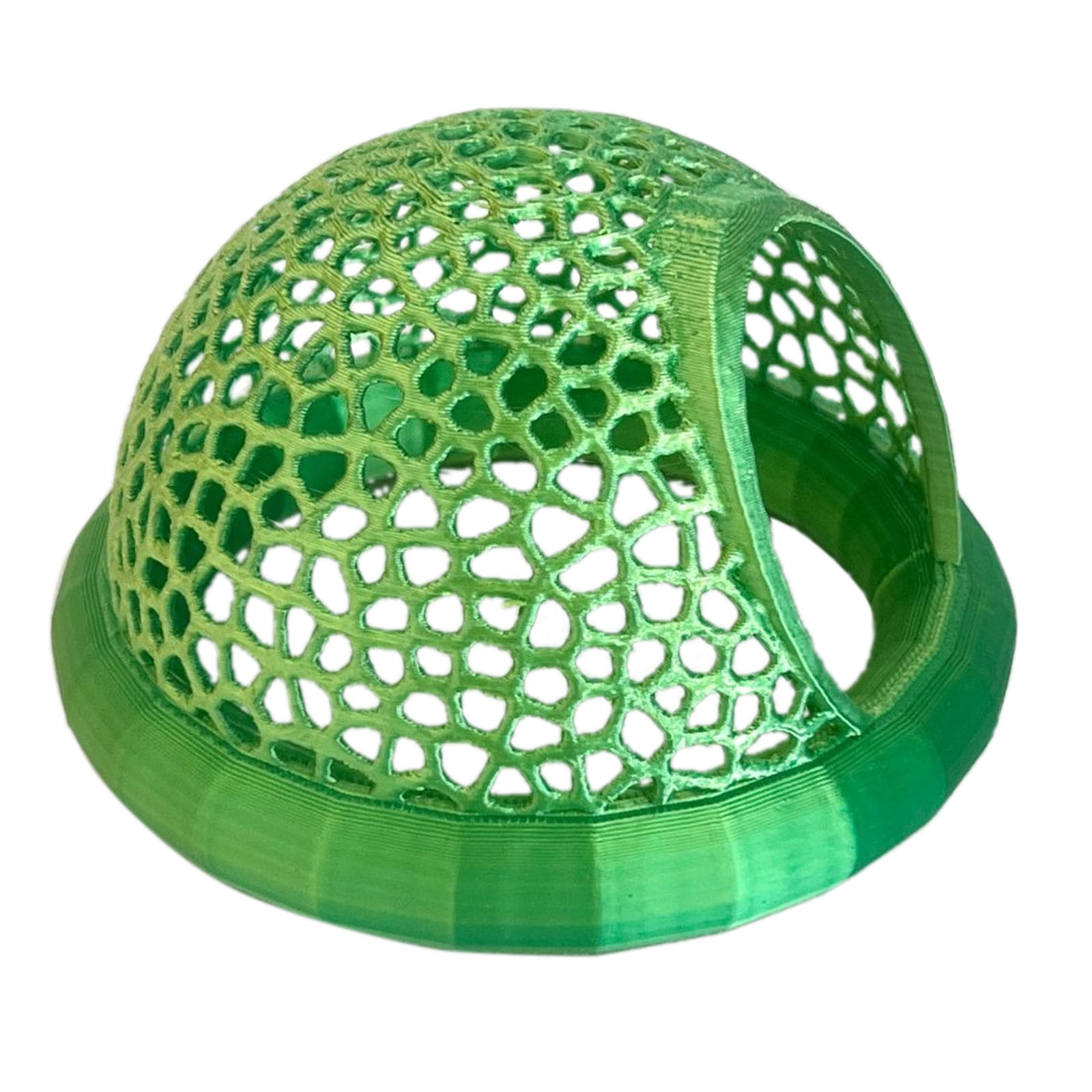 Floating Aquarium Tunnel for Fish Training and Enrichment with Swim ...