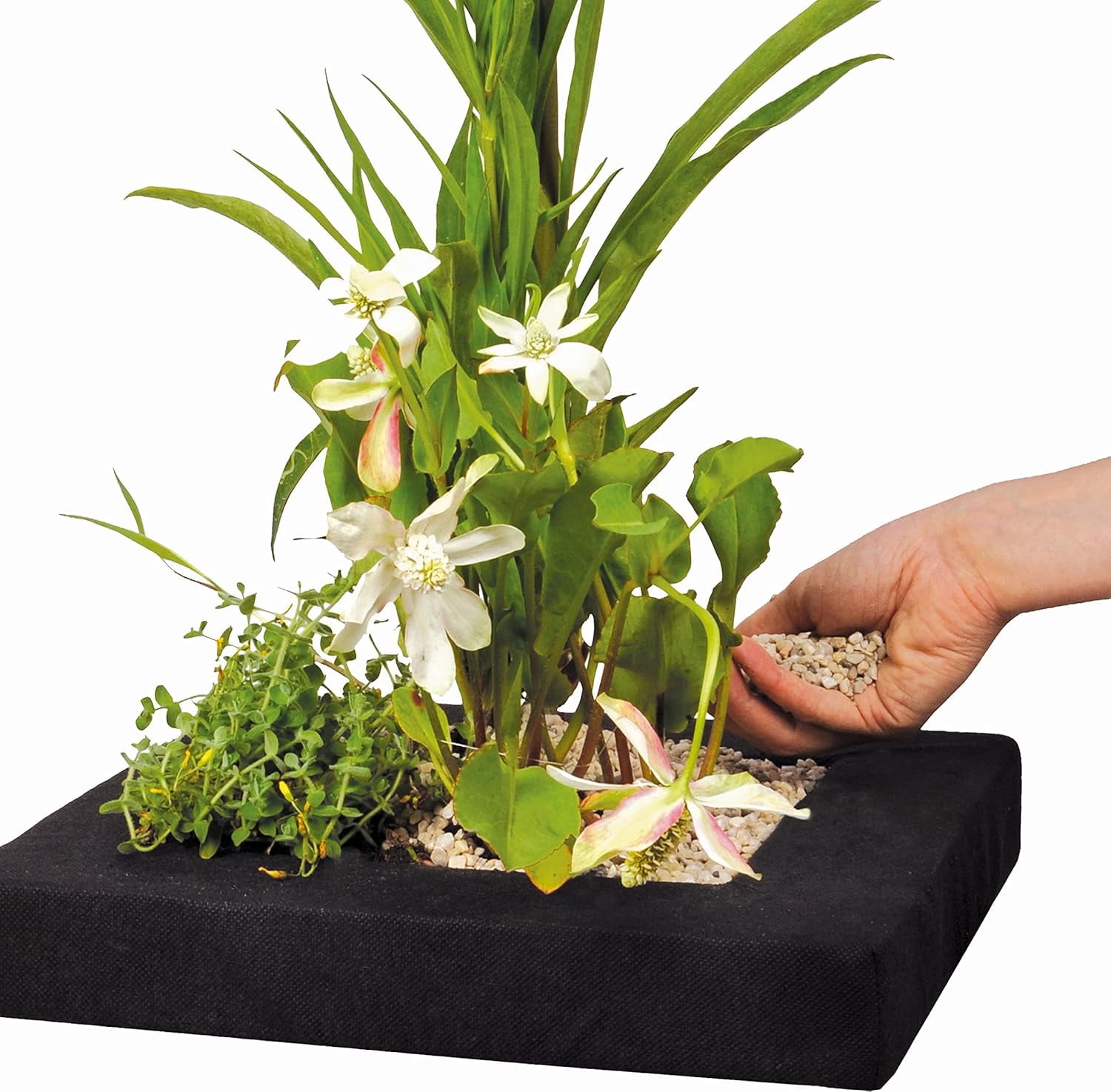 Floating Aquatic Water Garden Pond Plant or Flower Fabric Planter ...