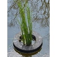 Floating Aquatic Water Garden Pond Plant Planting Basket, Round 10 ...