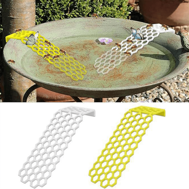 Floating Bee Ladder Bee Insect Drinking Water Bee Ladder Insect ...
