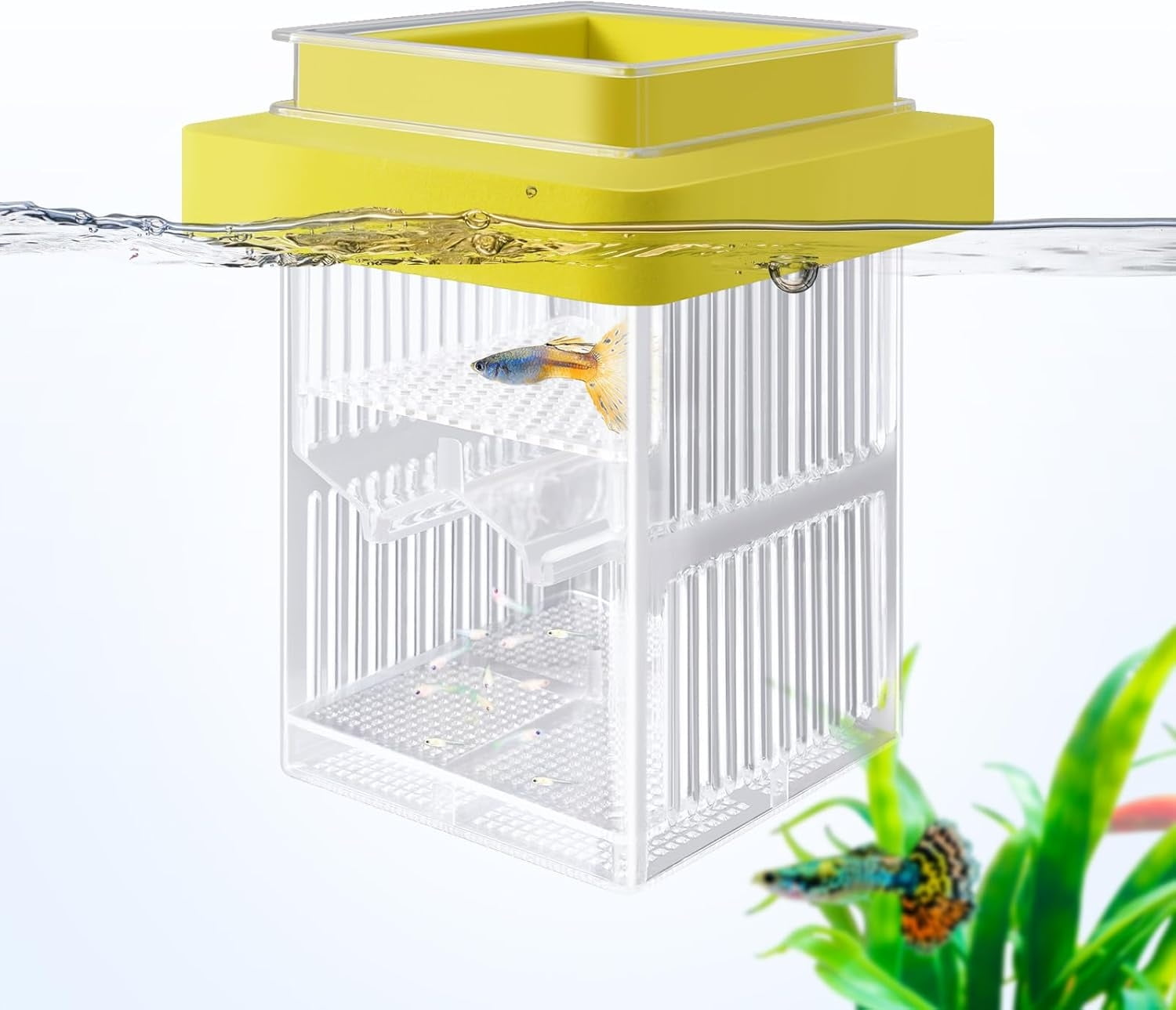 Floating Breeding Box For Aquarium, Fish Tank Breeder Box With Hatching ...