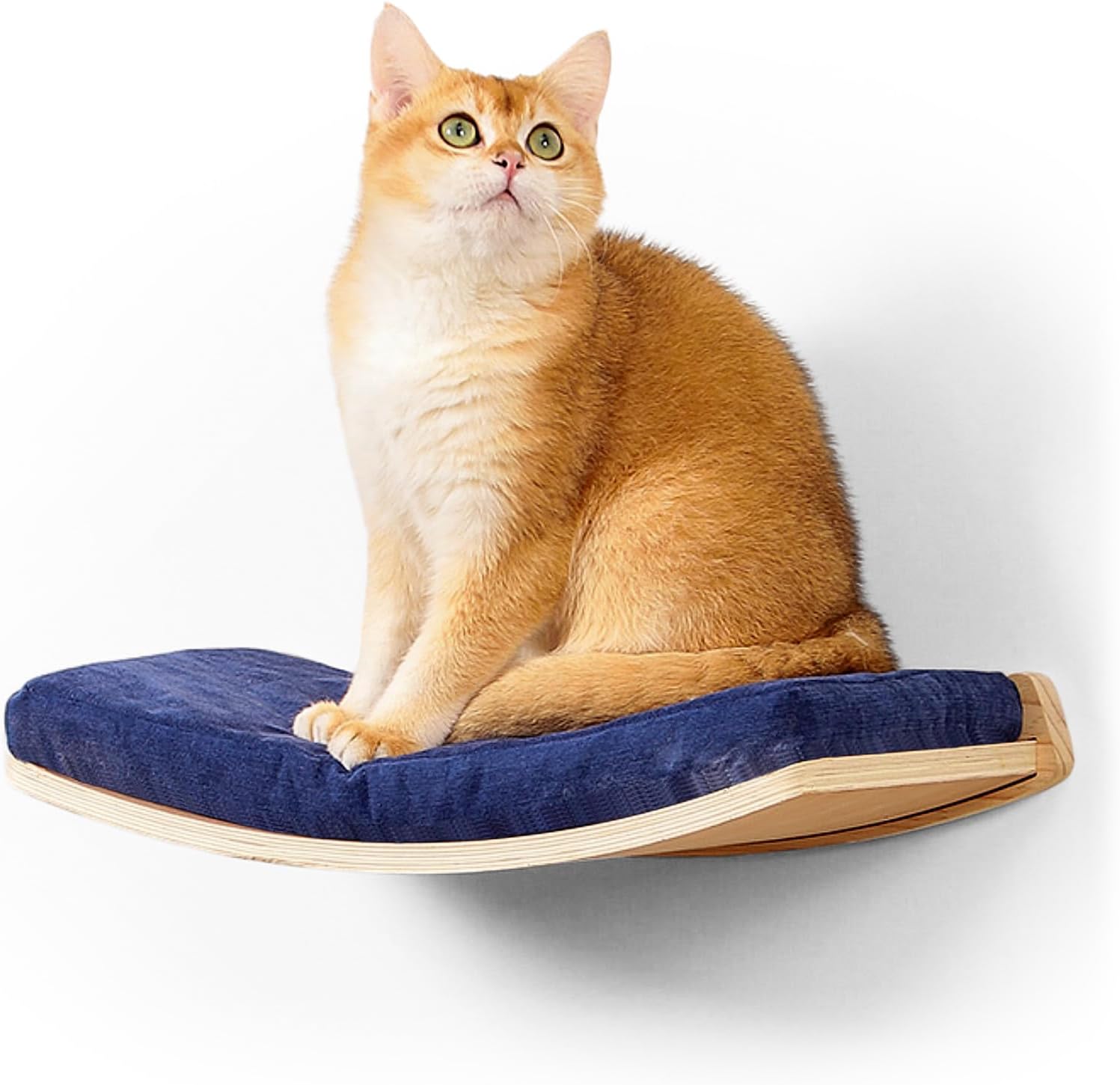 Floating Cat Wall Bed with Comfortable Cushion, Curved Cat Shelves and ...